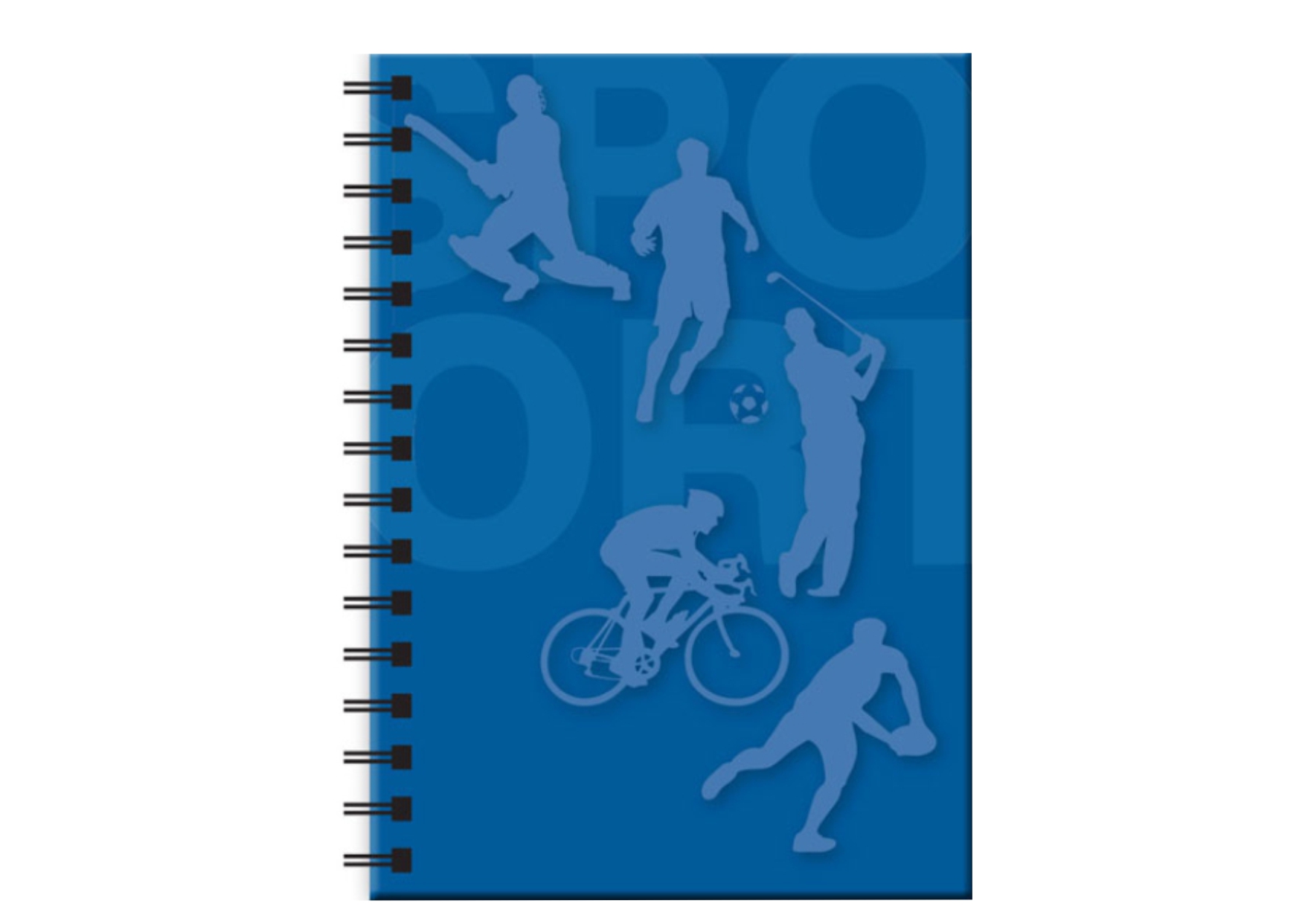 Diaries: Carpe Diem Wiro-bound Executive Diary